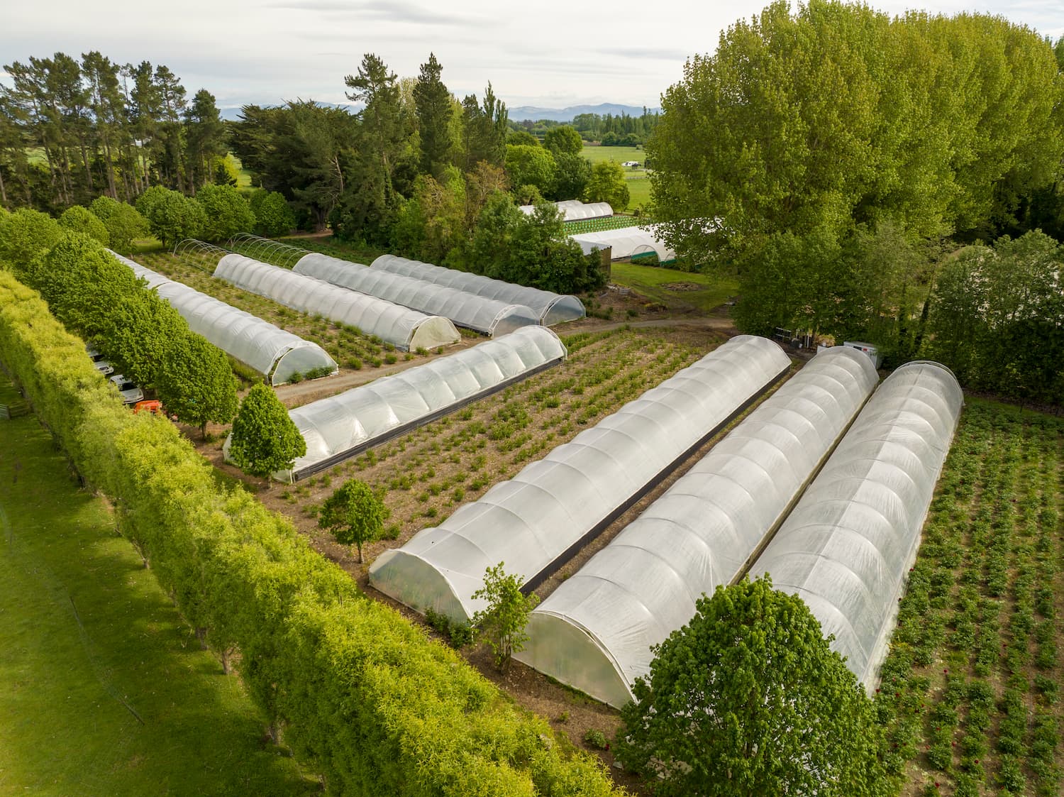 Portable Crop Protector – Harford Greenhouses